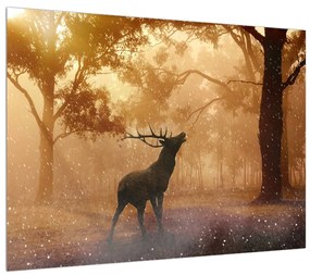 Obraz jelena v říji (70x50 cm)