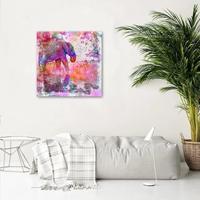 Gario Obraz na plátně Slon mezi barvami - Andrea Haase Rozměry: 30 x 30 cm