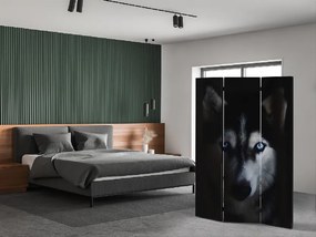 Paraván pes husky Rozměr: 135 x 180 cm