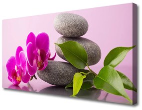 Obraz na plátně Květ Kameny Zen Rostlina 125x50 cm