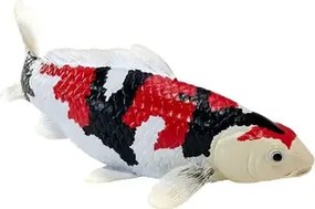 Mojo Kapr koi showa sanshoku / od 3 let