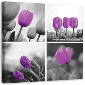 Gario Obraz na plátně Sada fialových tulipánů Rozměry: 30 x 30 cm