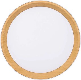 LED stropní světlo s dálkovým ovládáním Larios nastavitelné - průměr 39 cm, bílá