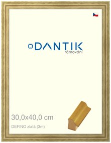 DANTIK rámeček 30x40 | DELFINO zlatá (Plexi Čiré)