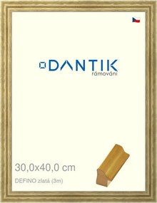 DANTIK rámeček 30x40 | DELFINO zlatá (Plexi Čiré)