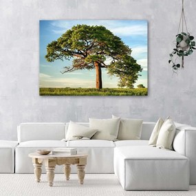 Gario Obraz na plátně Velký strom Rozměry: 60 x 40 cm