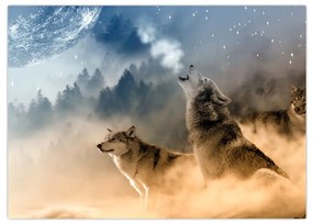 Obraz - vlci vyjící na měsíc (70x50 cm)