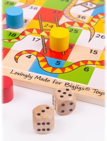 Bigjigs Toys Hadi a žebříky 2