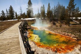 DIMEX | Samolepicí vliesová fototapeta na zeď Yellowstonský park MA-5-3027 | 375 x 250 cm | zelená, modrá, oranžová, hnědá