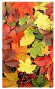 DIMEX | Vliesová fototapeta na zeď Pestrobarevné listí MS-2-0115  | 150 x 250 cm | červená, zelená, žlutá, hnědá