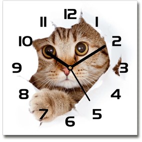 Wallmuralia Skleněné nástěnné hodiny čtverec Kočka 30x30 cm