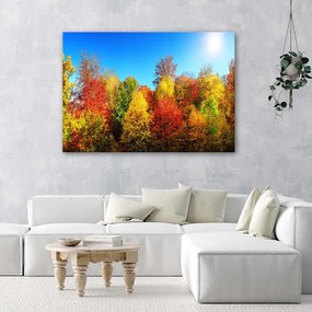 Gario Obraz na plátně Podzimní stromy Rozměry: 60 x 40 cm