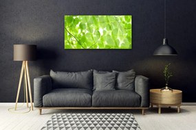 Obraz na skle Listy Příroda 140x70 cm