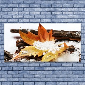 Plexisklo-obraz List Les Podzim Příroda 120x60 cm