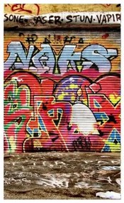 DIMEX | Vliesová fototapeta na zeď Ulice s graffiti MS-2-0321  | 150 x 250 cm | vícebarevná