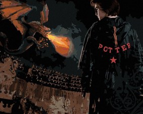 Malování podle čísel harry potter v aréně s drakem, 40x50 cm, vypnuté plátno na rám