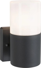 P 94649 Venkovní nástěnné svítidlo Tubs IP44 kruhové 105x123mm max. 15W 230V šedá mat kov/umělá hmota - PAULMANN