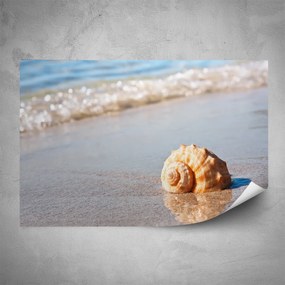 Plakát - Mušle na pláži (60x40 cm) - PopyDesign