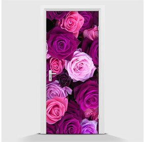 E-shop24, Pi5P611-95,  Fototapeta samolepicí dveřní - Růže barevná, 95 x 210 cm, matná