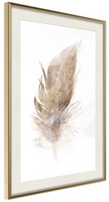 Artgeist Lost Feather (Beige) Velikosti (šířkaxvýška): 20x30, Finální vzhled: Zlatý rám s paspartou