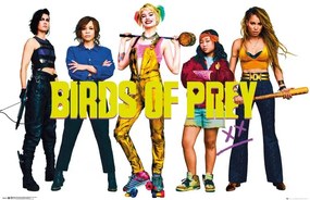 Plakát, Obraz - Birds of Prey: Podivuhodná proměna Harley Quinn - Group, (91.5 x 61 cm)