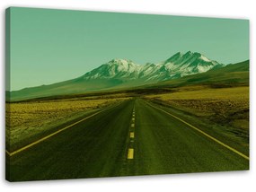 Gario Obraz na plátně Cesta divočinou Rozměry: 60 x 40 cm