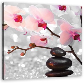 Obraz na plátně, Zen Stones a větvička orchideje - 60x60 cm