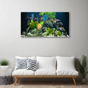 Obraz na plátně Ryba Kameny Listy Příroda 140x70 cm