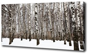 Wallmuralia Foto obraz na plátně Břízy zima 100x50
