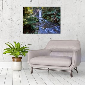 Skleněný obraz austraského deštného lesa (70x50 cm)