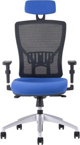 Kancelářská ergonomická židle Office Pro HALIA MESH SP – s podhlavníkem, více barev Šedá 2625