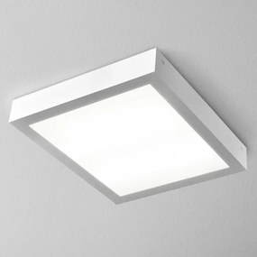AQUAFORM stropní/ nástěnná svítidla Blos Mini LED