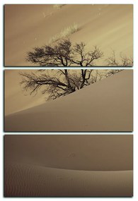 Obraz na plátně - Červené písečné duny - obdélník 7133FB (90x60 cm  )