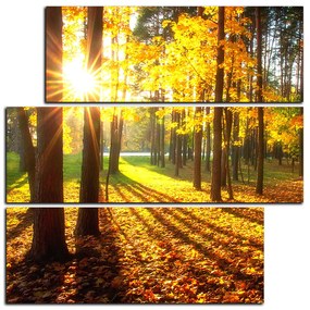 Obraz na plátně - Podzimní les - čtverec 3176D (105x105 cm)