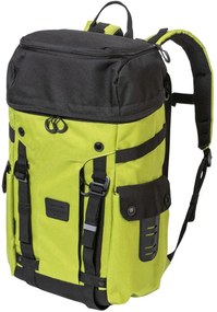 Meatfly scintilla, fresh olive, 26 l