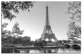 Obraz na plátně - Eiffel Tower 1110QA (75x50 cm)