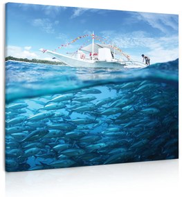 Malvis ® Obraz Hejno ryb Velikost (šířka x výška): 120x120 cm