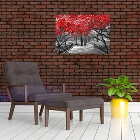 Skleněný obraz - Červené stromy, Central Park, New York (70x50 cm)