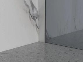 Erga Paris, sprchová zástěna Walk-In 160x200 cm, 8mm šedé sklo, broušená ocel, ERG-V02-PARIS-160x200-GR-BS
