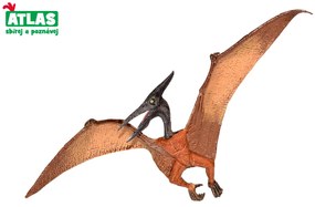 Atlas Figurka Dino Pteranodon 22 cm