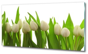 Wallmuralia Foto-obrah sklo tvrzené Bílé tulipány 100x50