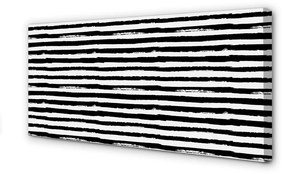 Obrazy na plátně Nepravidelné pruhy zebra 100x50 cm