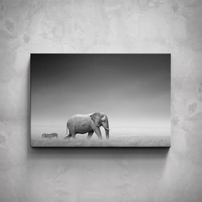 Obraz - Slon a zebra - PopyDesign