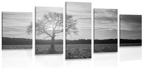 5-dílný obraz osamělého stromu v černobílém provedení - 200x100 cm