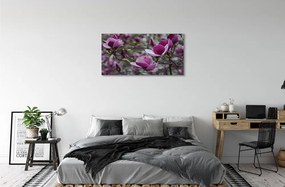 Obrazy na plátně fialové magnolie 125x50 cm