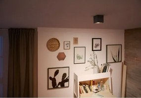 Bodové LED svítidlo Philips Box 50491/30/P0 4,5W 500lm 2200-2700K teplá bílá, stmívatelné