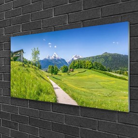 Obraz na skle Hory Louka Stezka Údolí 125x50 cm