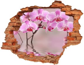Wallmuralia Samolepící díra na stěnu Růžová orchidej 90x70 cm
