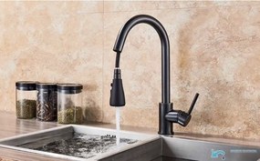 Kuchyňská baterie EYN BI1410 s výsuvnou víceproudovou sprškou, matná černá