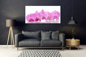 Plexisklo-obraz Růžová Orchidej Květiny 120x60 cm